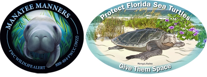 Protect Florida’s manatees and sea turtles with fresh decals from FWC ...